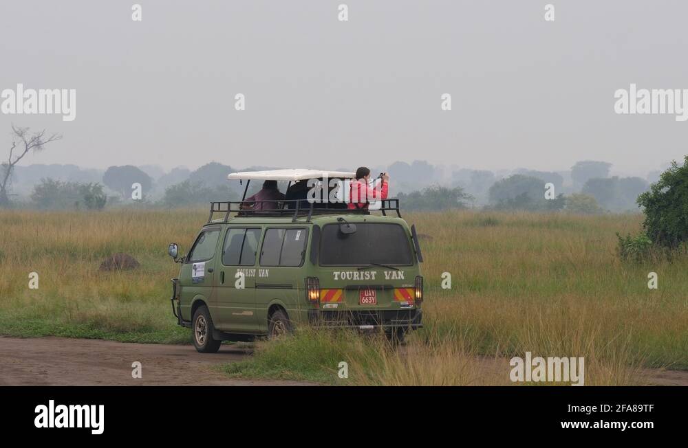 Safari van van Stock Videos & Footage - HD and 4K Video Clips - Alamy