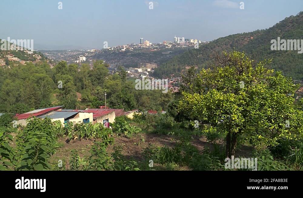 Remote view of downtown Kigali with the branches of a tropical tree in ...