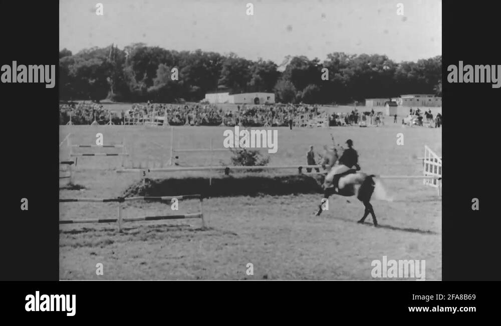 Historical horse jumping Stock Videos & Footage - HD and 4K Video Clips ...