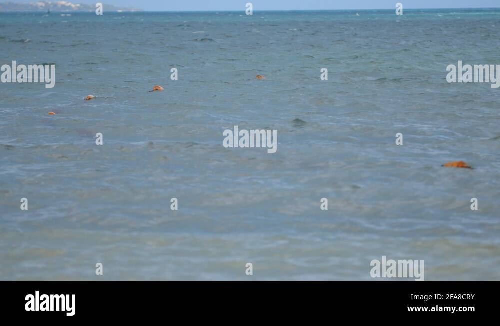 Buoys floating Stock Videos & Footage - HD and 4K Video Clips - Alamy
