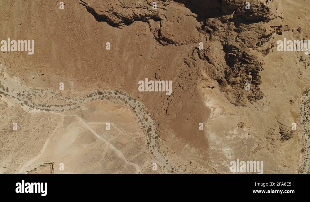 Snake path Stock Videos & Footage - HD and 4K Video Clips - Alamy