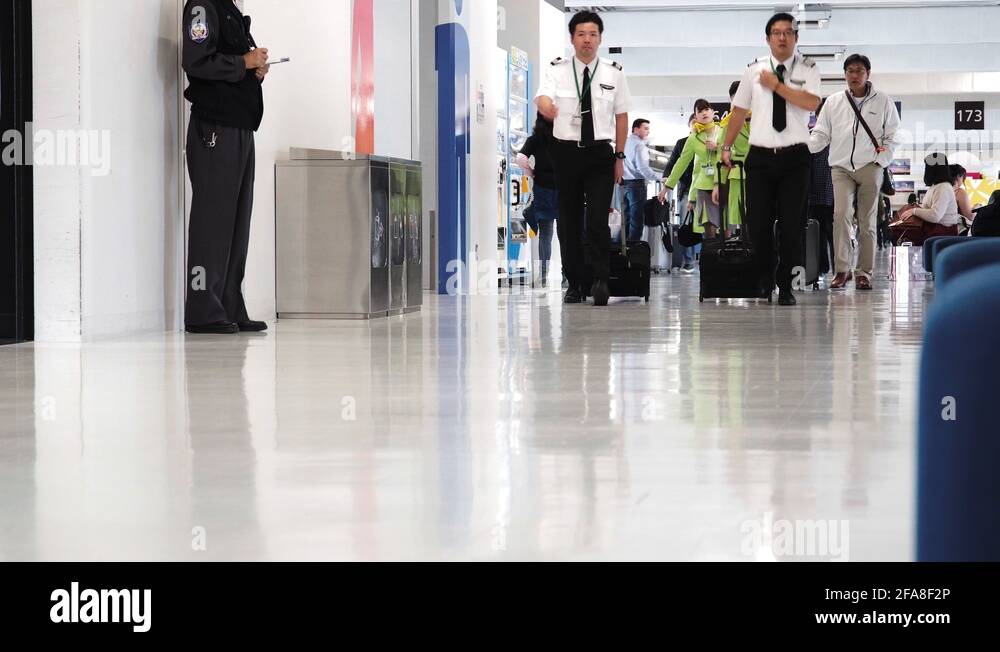 Spring Japan Airline Staff Walking Through Airport Terminal, Cabin Crew ...