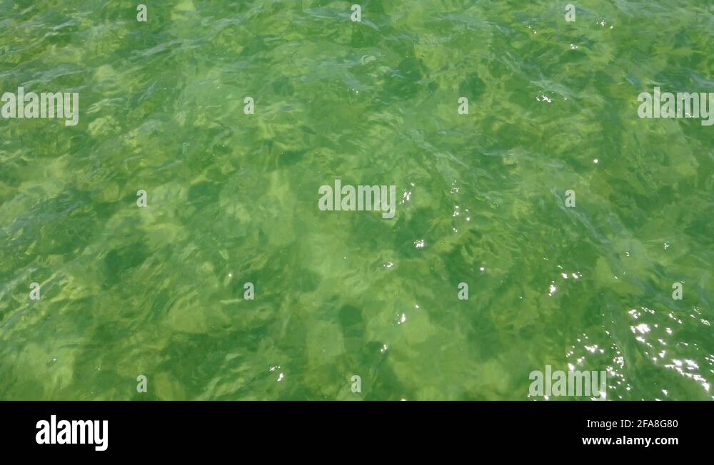 Water vertical sunny Stock Videos & Footage - HD and 4K Video Clips - Alamy