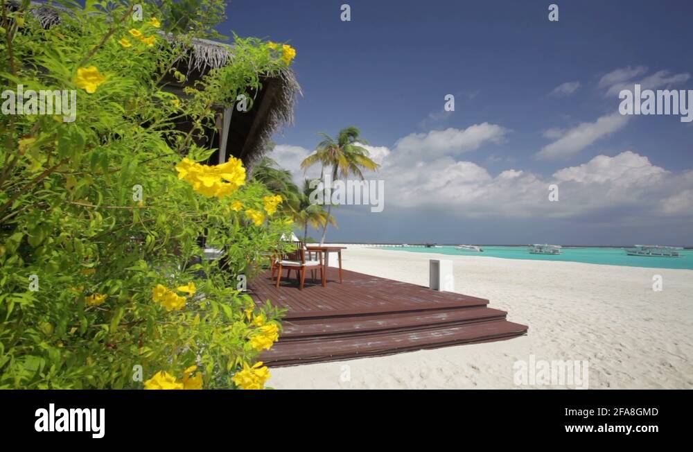 Open air beach bar Stock Videos & Footage - HD and 4K Video Clips - Alamy