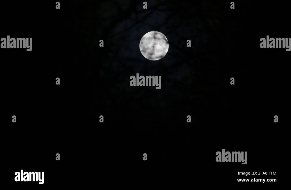 Moon shot Stock Videos & Footage - HD and 4K Video Clips - Alamy