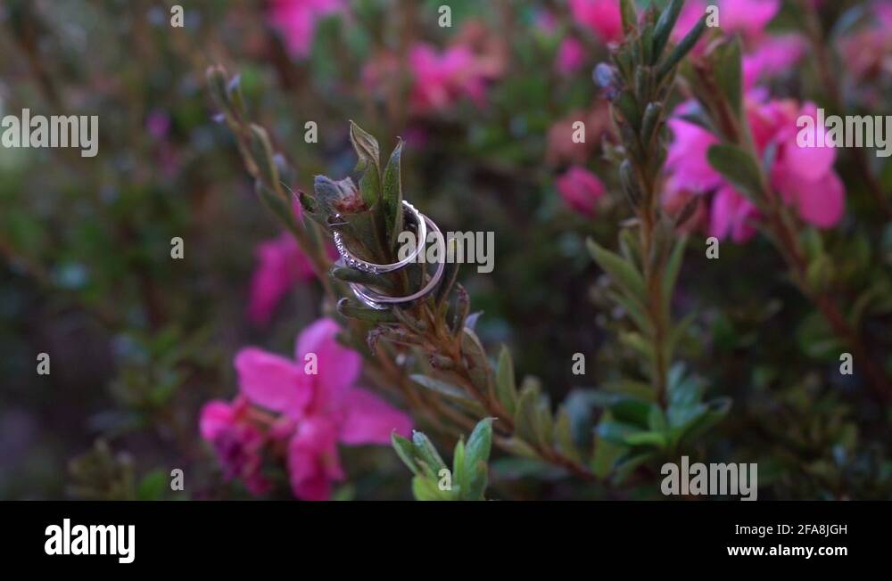 Inside rings Stock Videos & Footage - HD and 4K Video Clips - Alamy