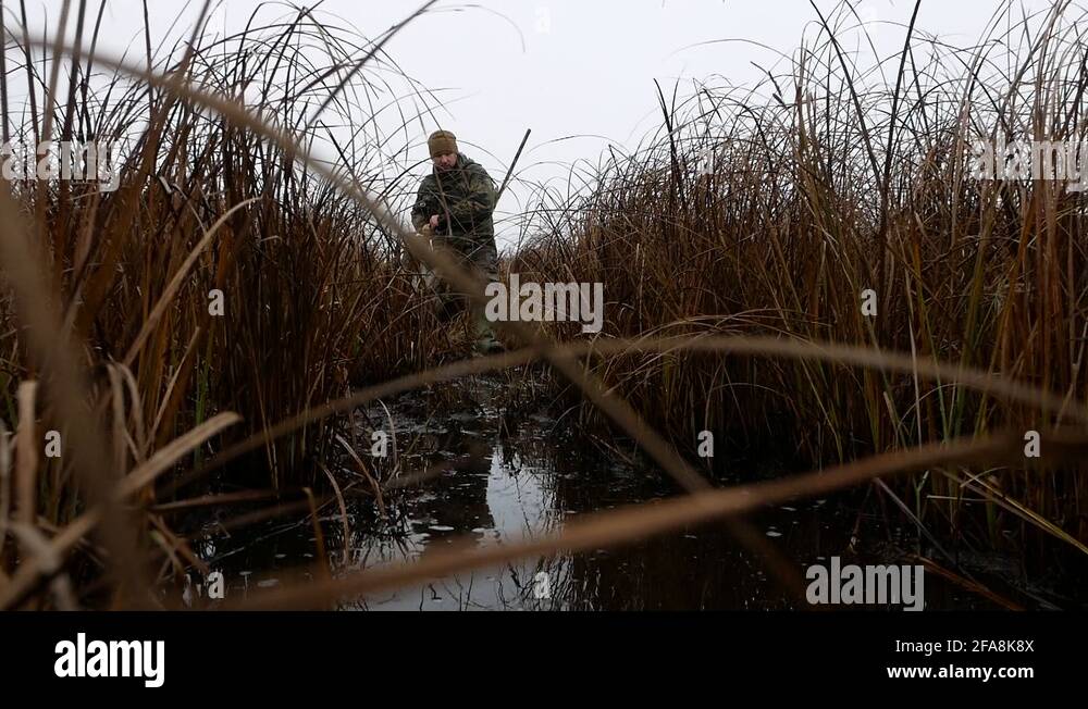 Man hunting bird Stock Videos & Footage - HD and 4K Video Clips - Alamy