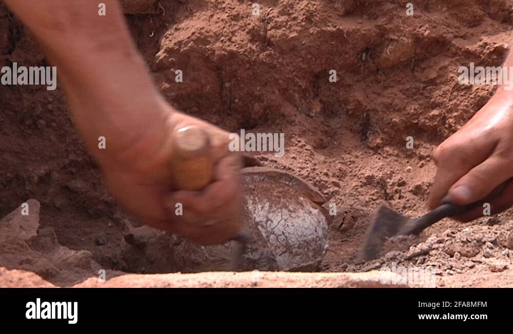Archaeologists dig artifacts Stock Videos & Footage - HD and 4K Video ...