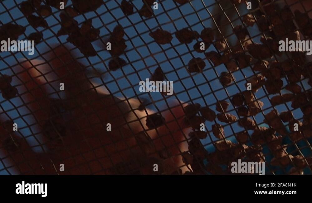 Close-up of a sifting screen at an archaeological dig as an ...