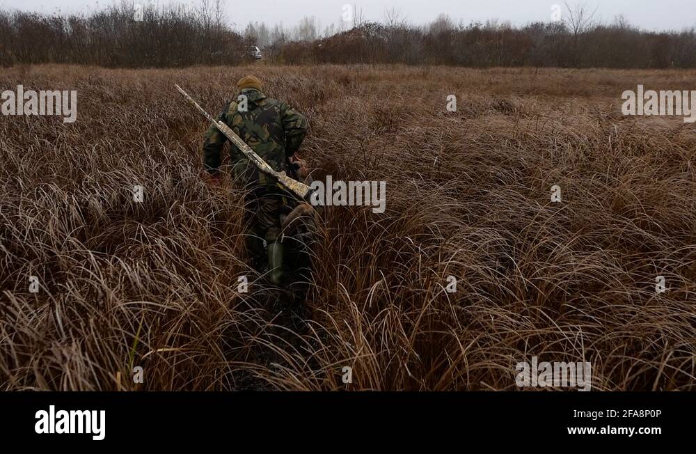 Hunter car Stock Videos & Footage - HD and 4K Video Clips - Alamy