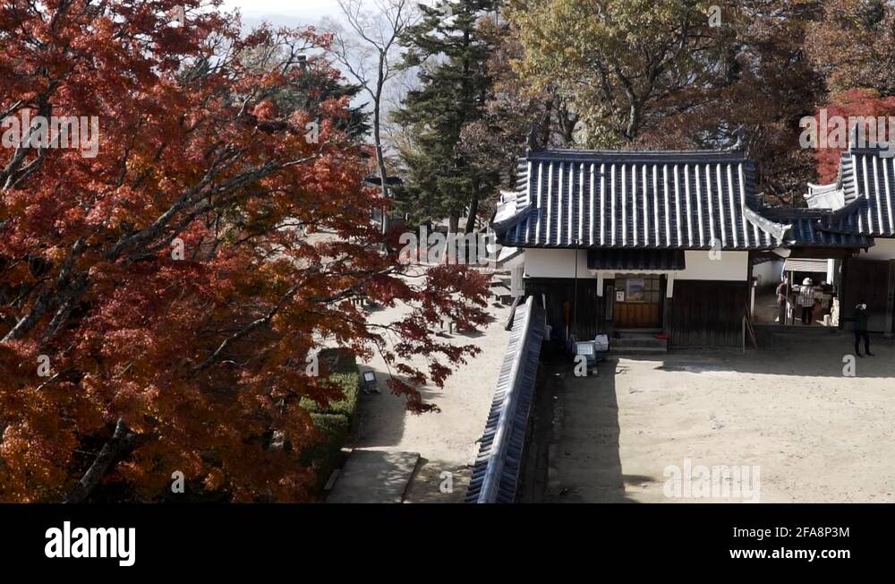 Fall view out window Stock Videos & Footage - HD and 4K Video Clips - Alamy