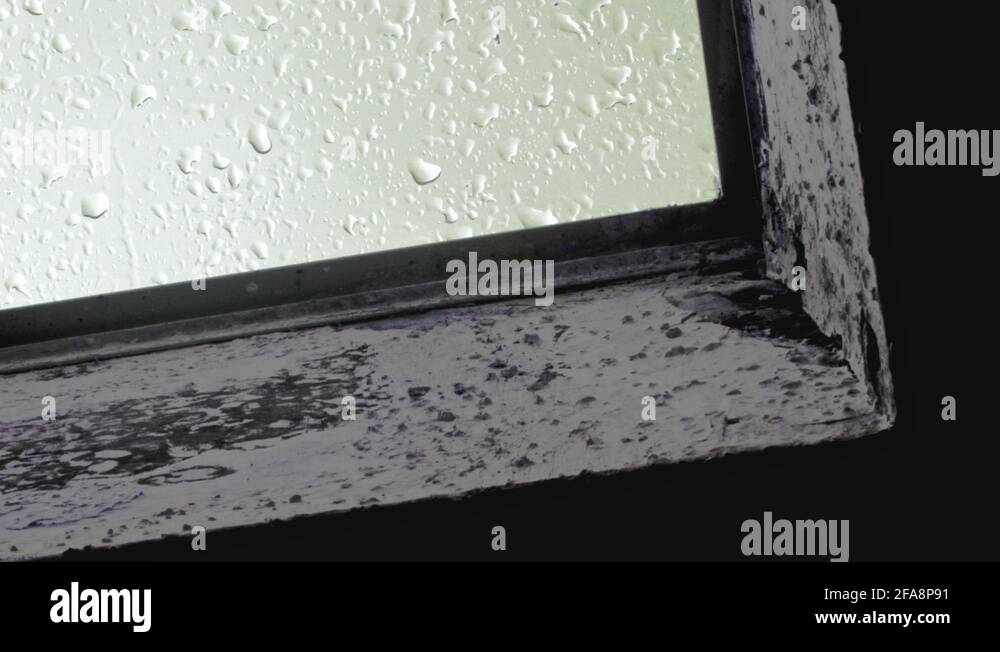 Window plaster Stock Videos & Footage - HD and 4K Video Clips - Alamy