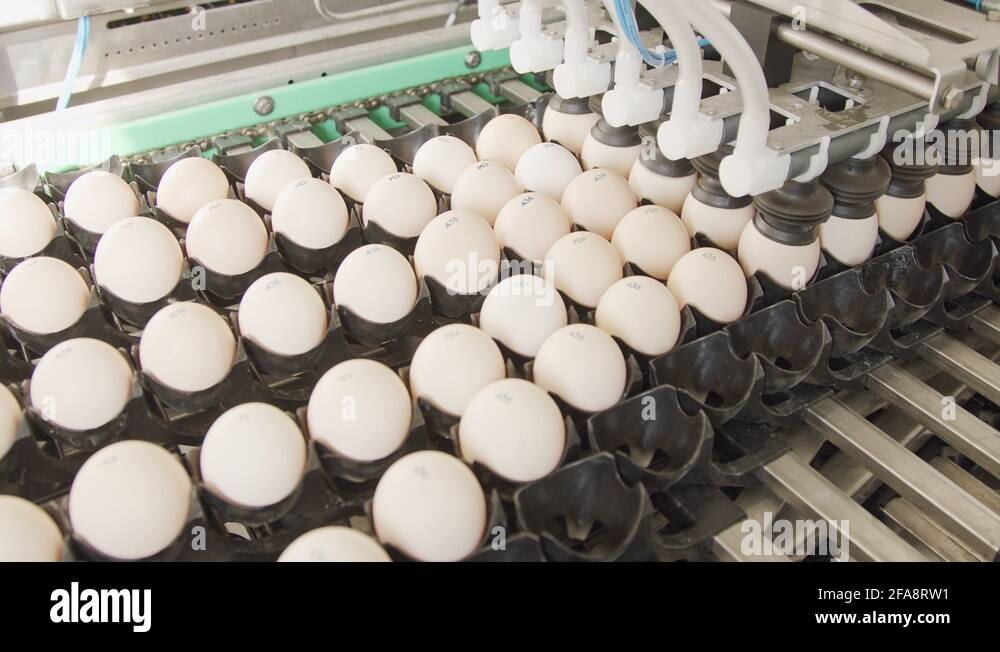 Raw chicken packet Stock Videos & Footage - HD and 4K Video Clips - Alamy