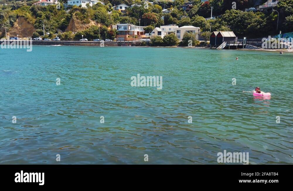 Orca man Stock Videos & Footage - HD and 4K Video Clips - Alamy