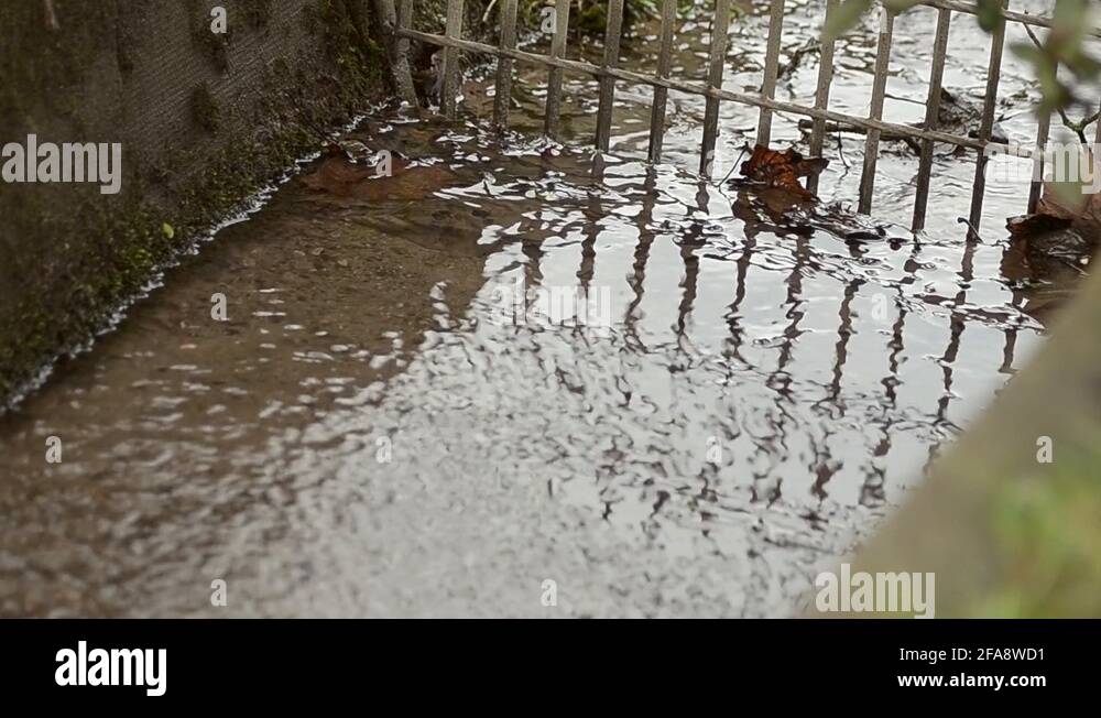 Pathway and gate flooded with water Stock Video Footage - Alamy