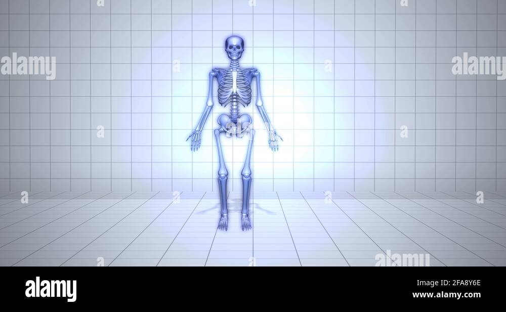Human Forensic Autopsy Animation Concept - Cause of Death - Poisoning ...