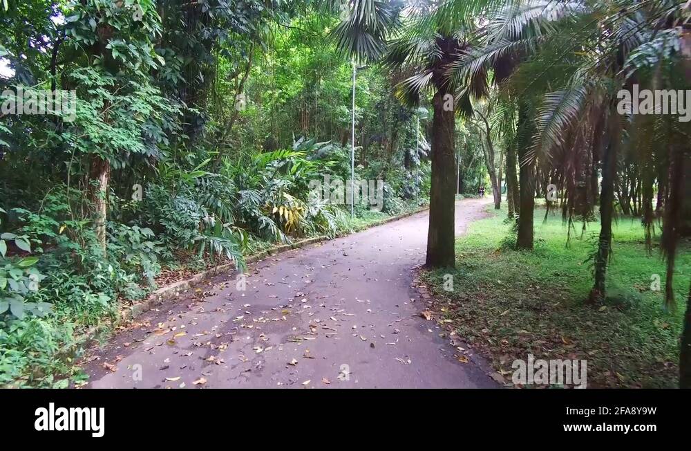 Royal pathway Stock Videos & Footage - HD and 4K Video Clips - Alamy