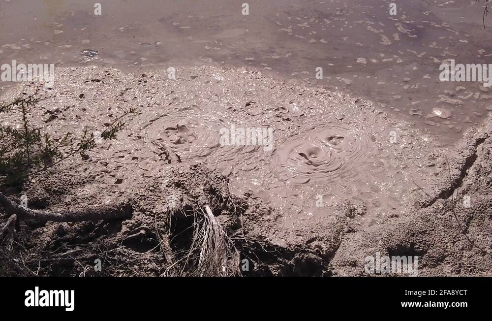 Rotorua bubbling mud new zealand Stock Videos & Footage - HD and 4K ...