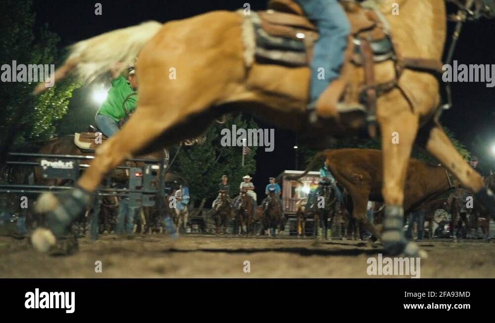Cowboy roping horse Stock Videos & Footage - HD and 4K Video Clips - Alamy