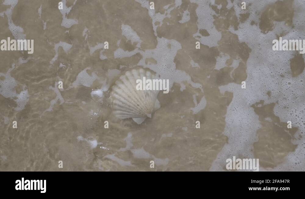 Salt water vibes Stock Videos & Footage - HD and 4K Video Clips - Alamy