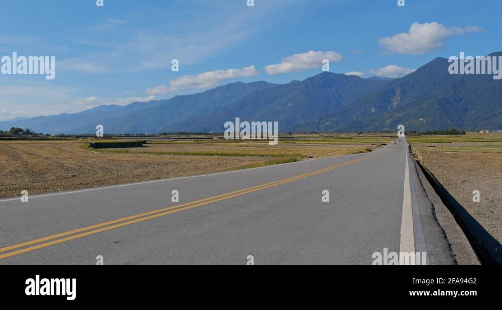Rice paddy flower Stock Videos & Footage - HD and 4K Video Clips - Alamy