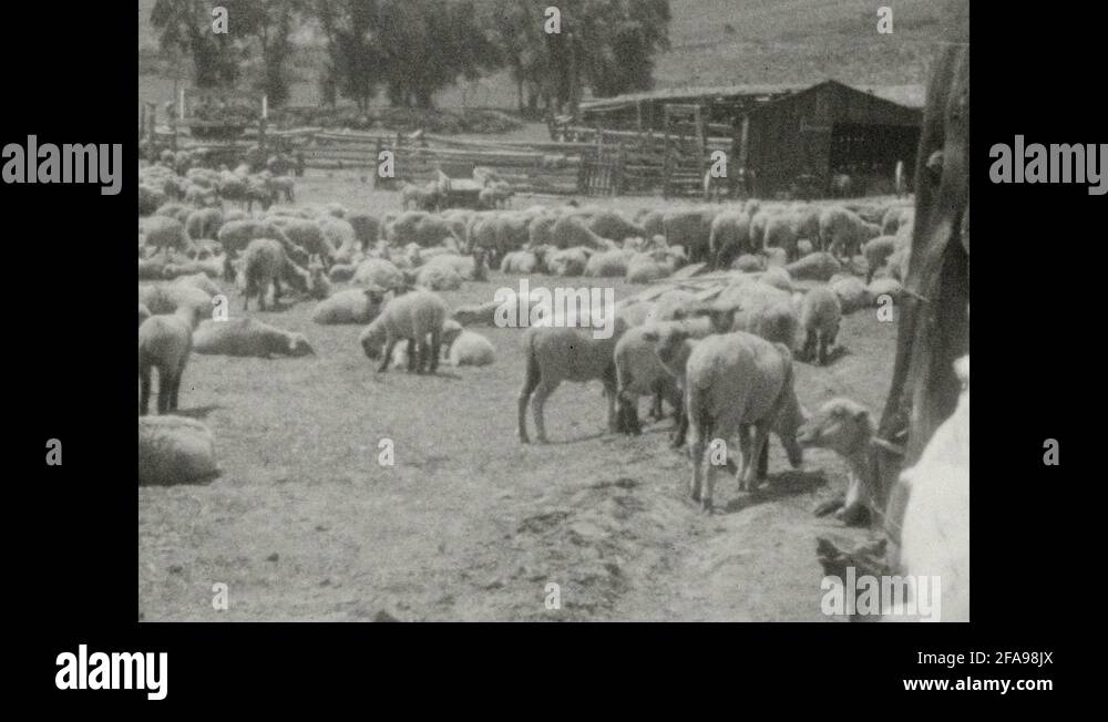 1930s farm children Stock Videos & Footage - HD and 4K Video Clips - Alamy