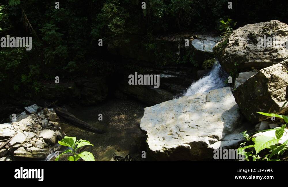 Costa rica rainforest waterfall Stock Videos & Footage - HD and 4K ...