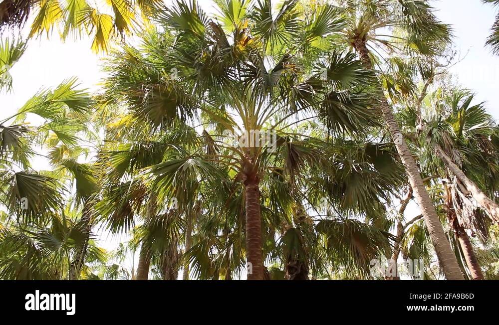 Do the nt Stock Videos & Footage - HD and 4K Video Clips - Alamy