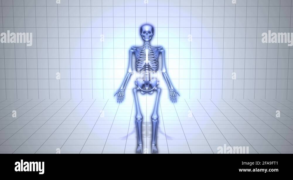 Radius bone anatomy Stock Videos & Footage - HD and 4K Video Clips - Alamy