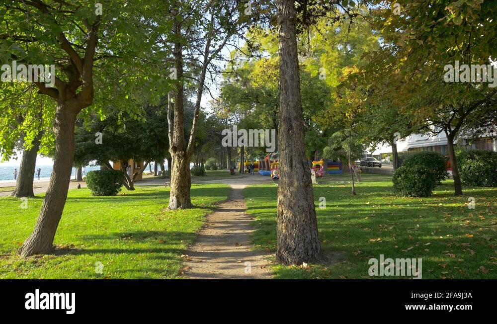 Trail into a park Stock Videos & Footage - HD and 4K Video Clips - Alamy