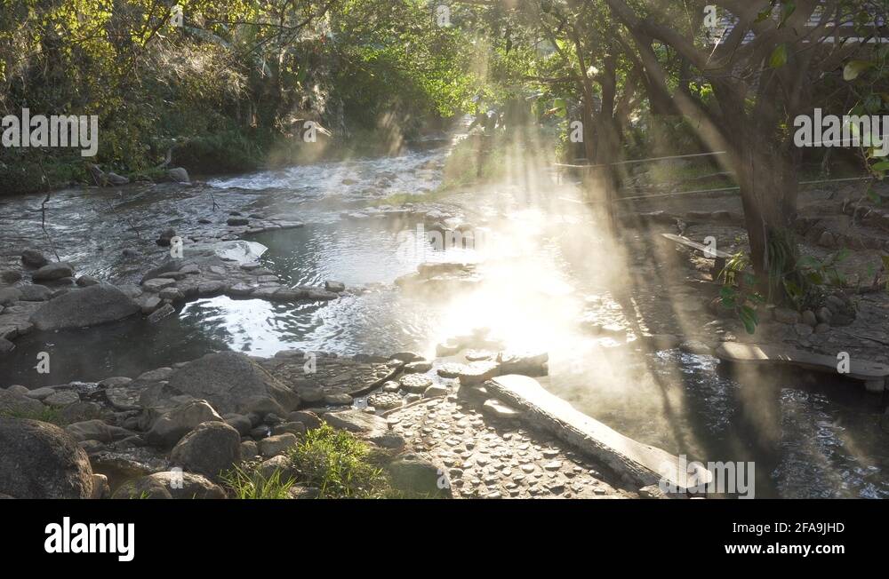 Sun rays beaming through the trees with steam rising from the Hot ...