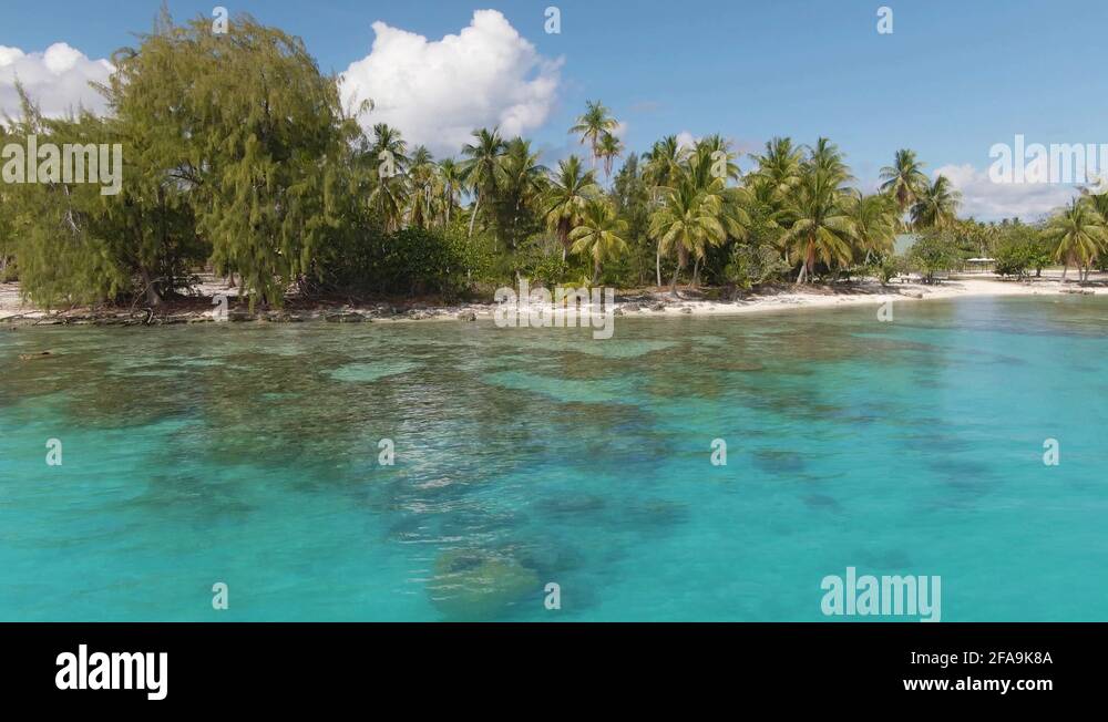 Beach and Lagoon of a Motu Island in Rangiroa Atoll, French Polynesia ...
