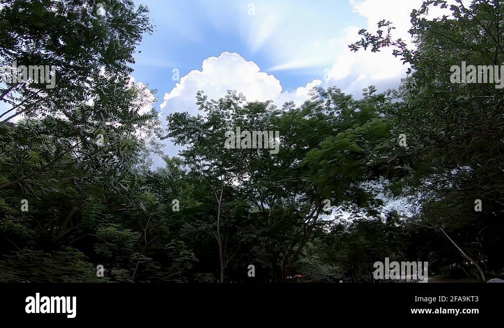 Sunbeams coming out fluffy cloud Stock Videos & Footage - HD and 4K ...