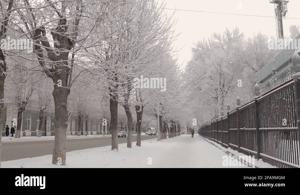 Snow street Stock Videos & Footage - HD and 4K Video Clips - Alamy