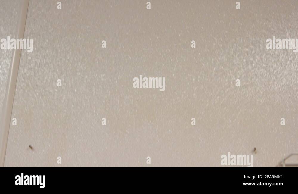 Wet hands sign Stock Videos & Footage - HD and 4K Video Clips - Alamy