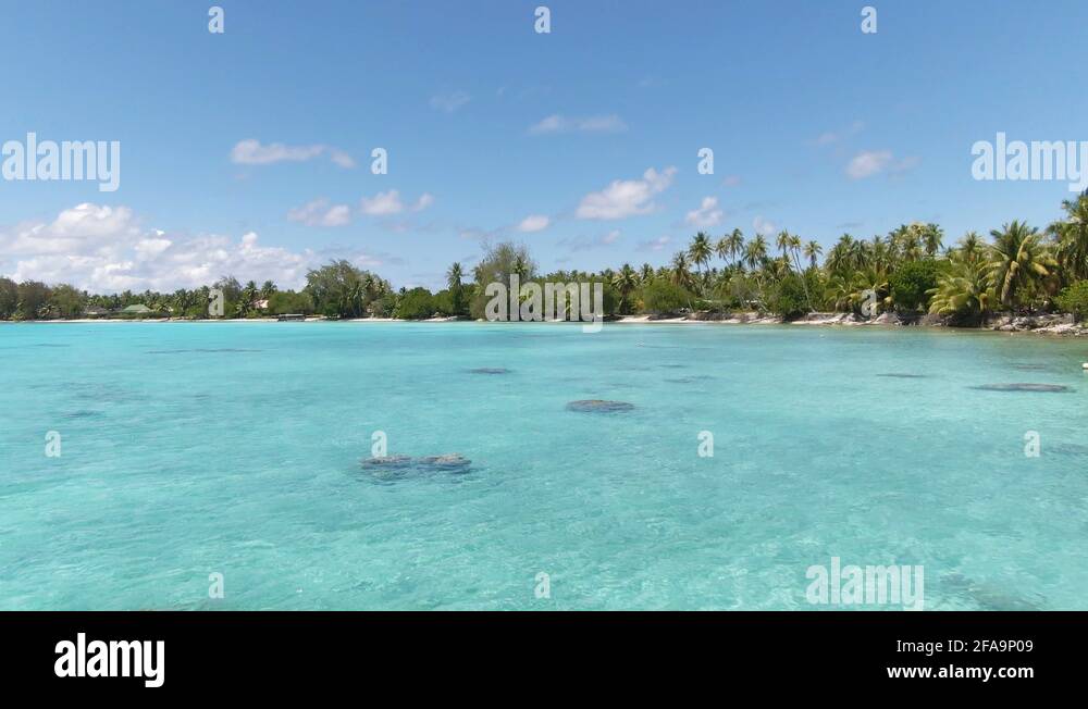Lagoon of a Motu Island in Rangiroa Atoll, French Polynesia Stock Video ...