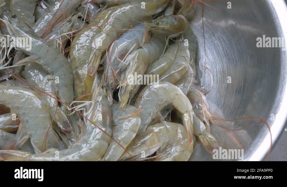 Unshelled prawns Stock Videos & Footage - HD and 4K Video Clips - Alamy