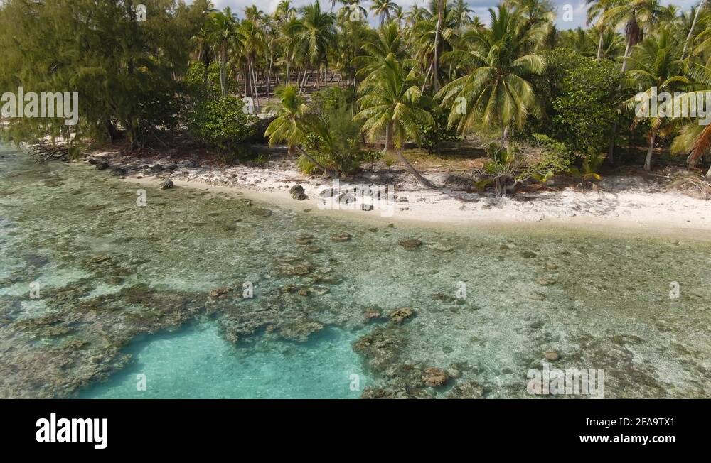 Beach and Lagoon of a Motu Island in Rangiroa Atoll, French Polynesia ...