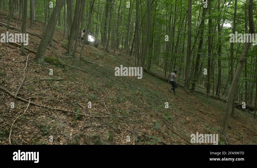 Car driving through trees Stock Videos & Footage - HD and 4K Video ...