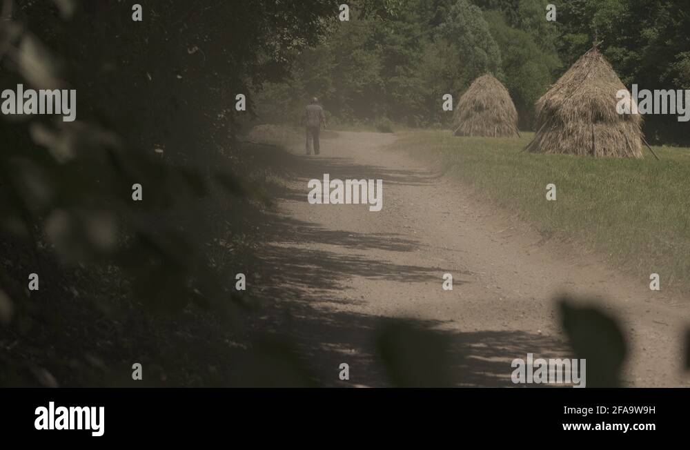 Man walking on country road Stock Videos & Footage - HD and 4K Video ...