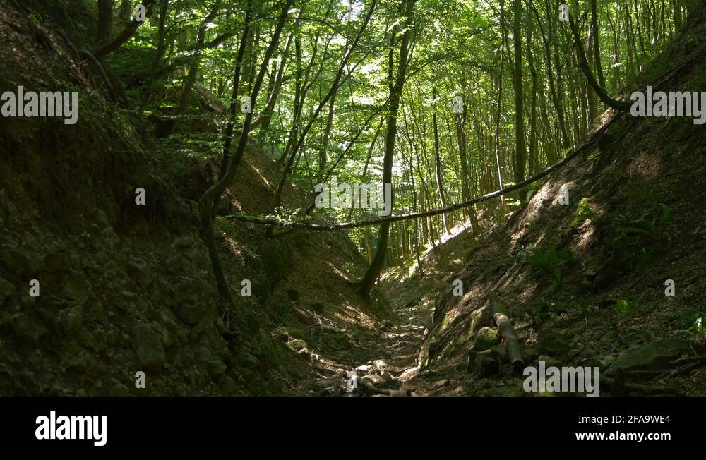 Steep ravine Stock Videos & Footage - HD and 4K Video Clips - Alamy