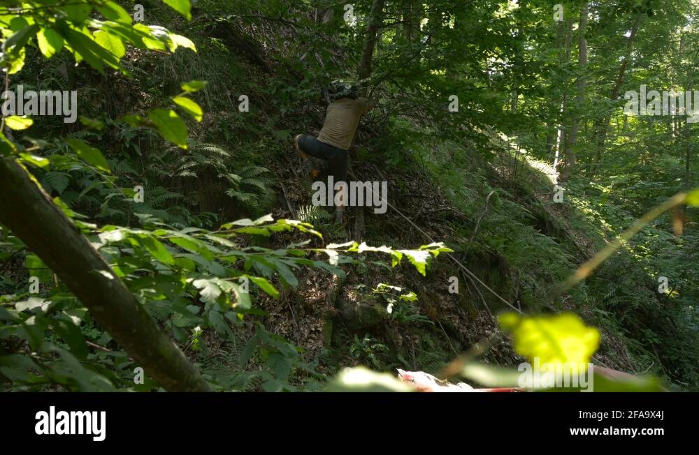 Cable tree Stock Videos & Footage - HD and 4K Video Clips - Alamy