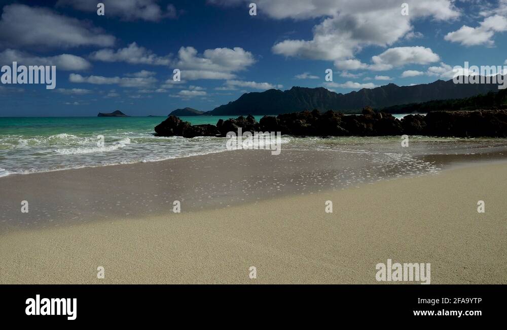 Field and beach Stock Videos & Footage - HD and 4K Video Clips - Alamy