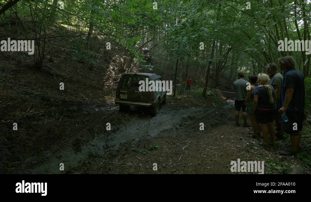 Driving suv in forest Stock Videos & Footage - HD and 4K Video Clips ...