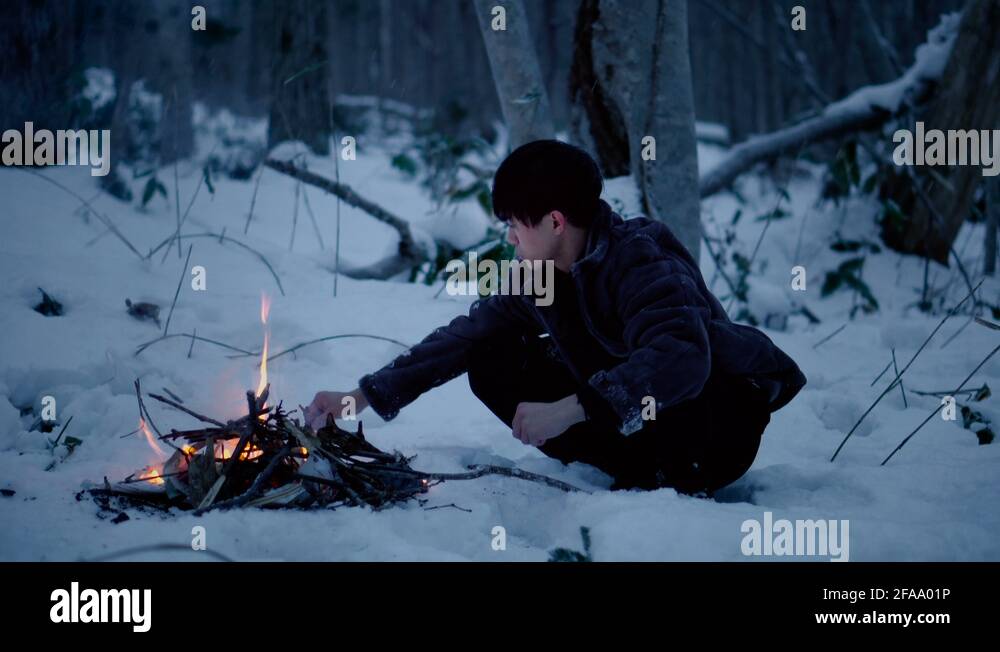 Cinematic forest fire Stock Videos & Footage - HD and 4K Video Clips ...