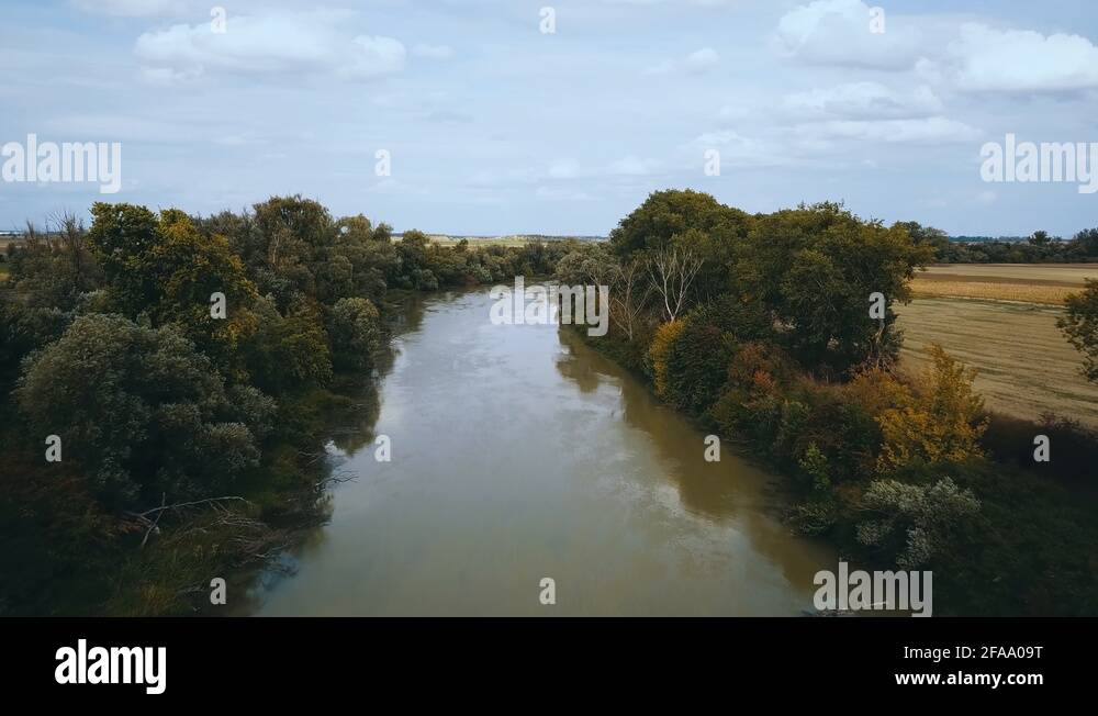 Broad leavedtrees Stock Videos & Footage - HD and 4K Video Clips - Alamy