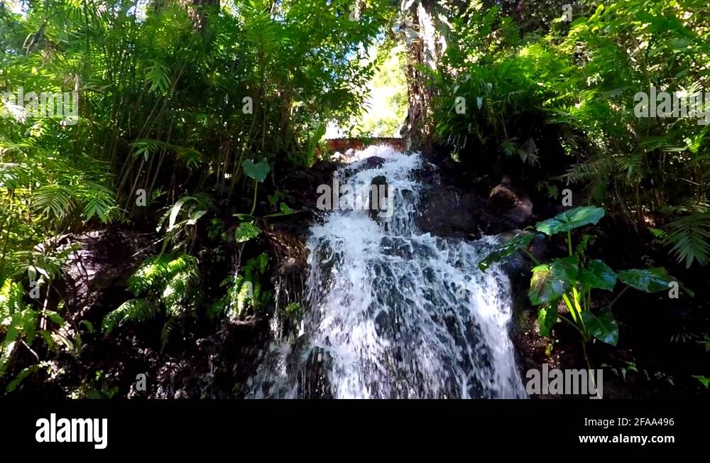 Maya culture Stock Videos & Footage - HD and 4K Video Clips - Alamy