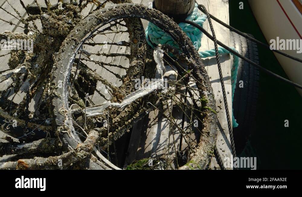 A damaged bicycle Stock Videos & Footage - HD and 4K Video Clips - Alamy