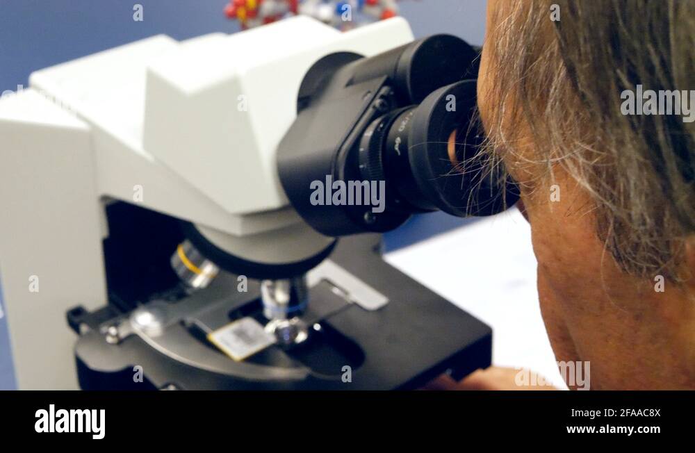 A scientist looking through the lens of a microscope at human cancer ...