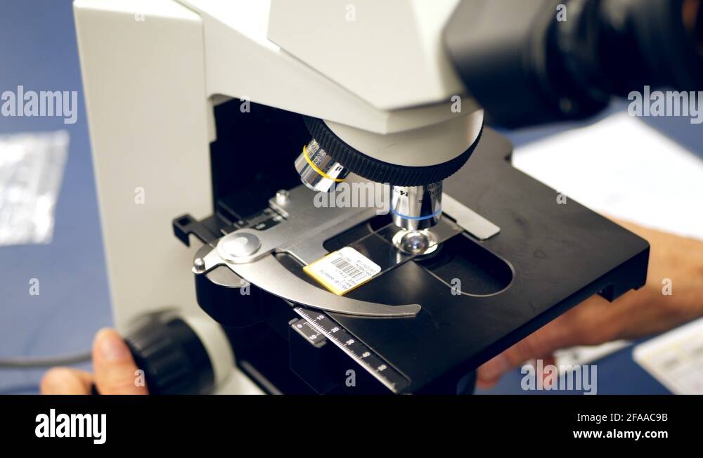 Microscope slide human Stock Videos & Footage - HD and 4K Video Clips ...